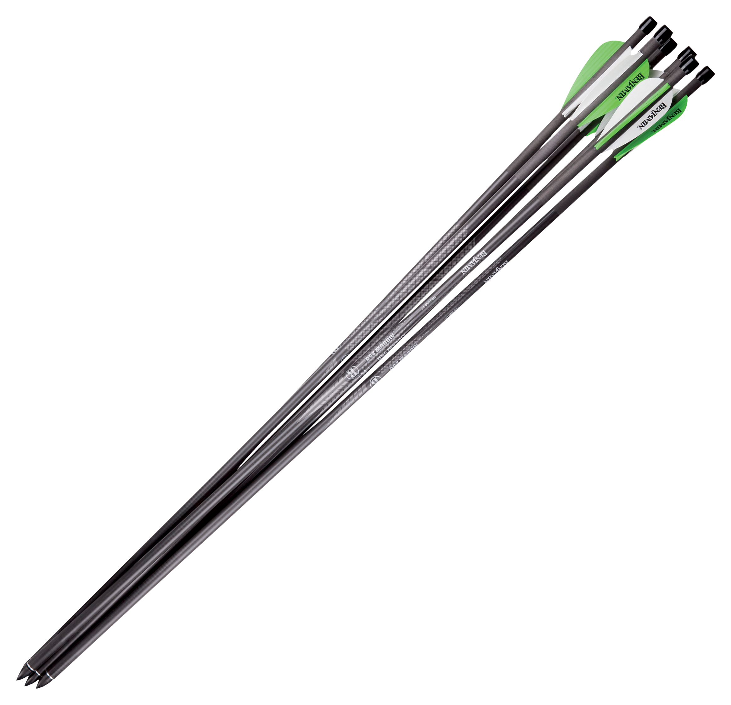 Benjamin Airbow Arrows 6-Pack | Bass Pro Shops